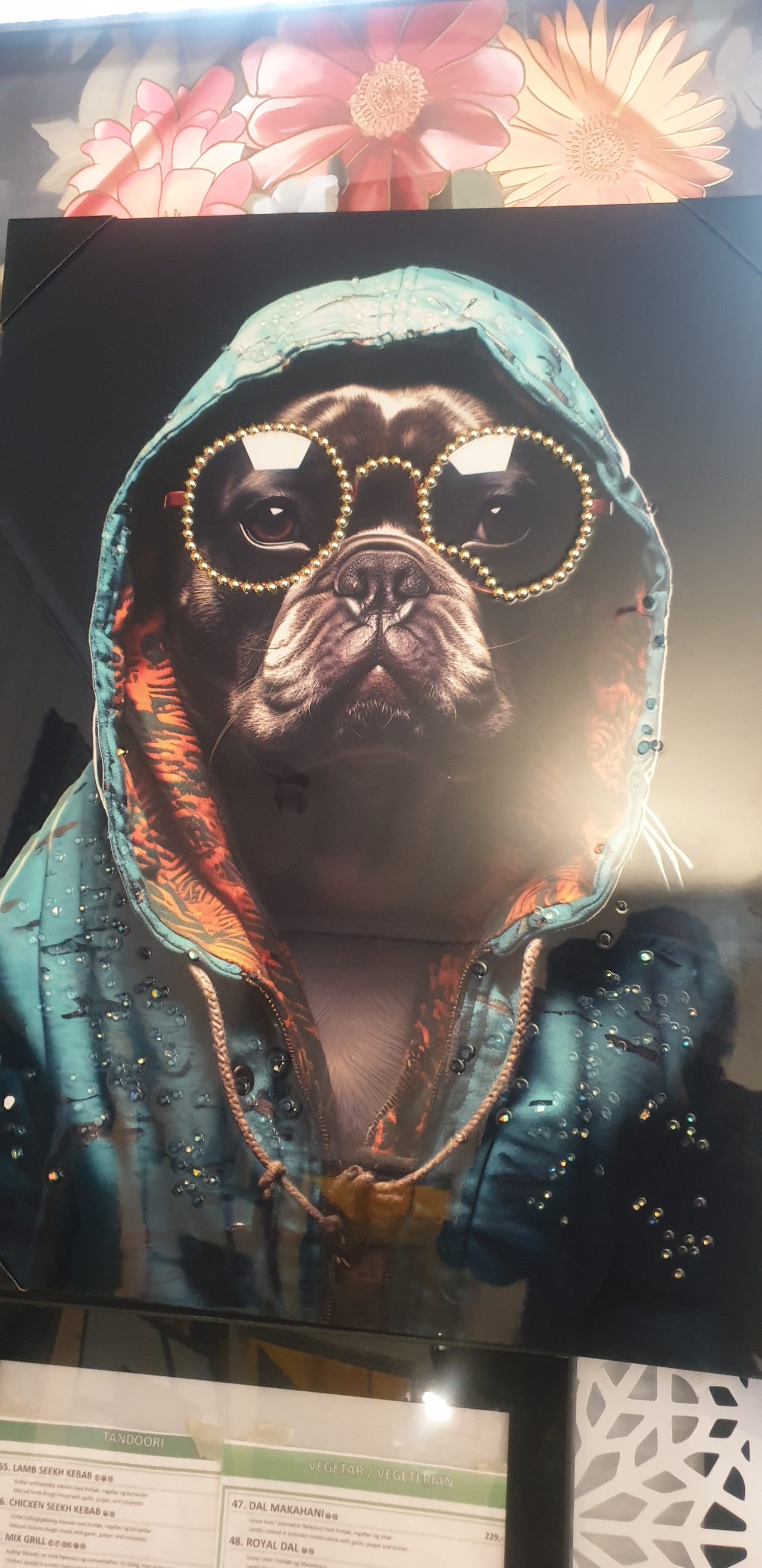 Bulldog punk bilde | FINN-torget