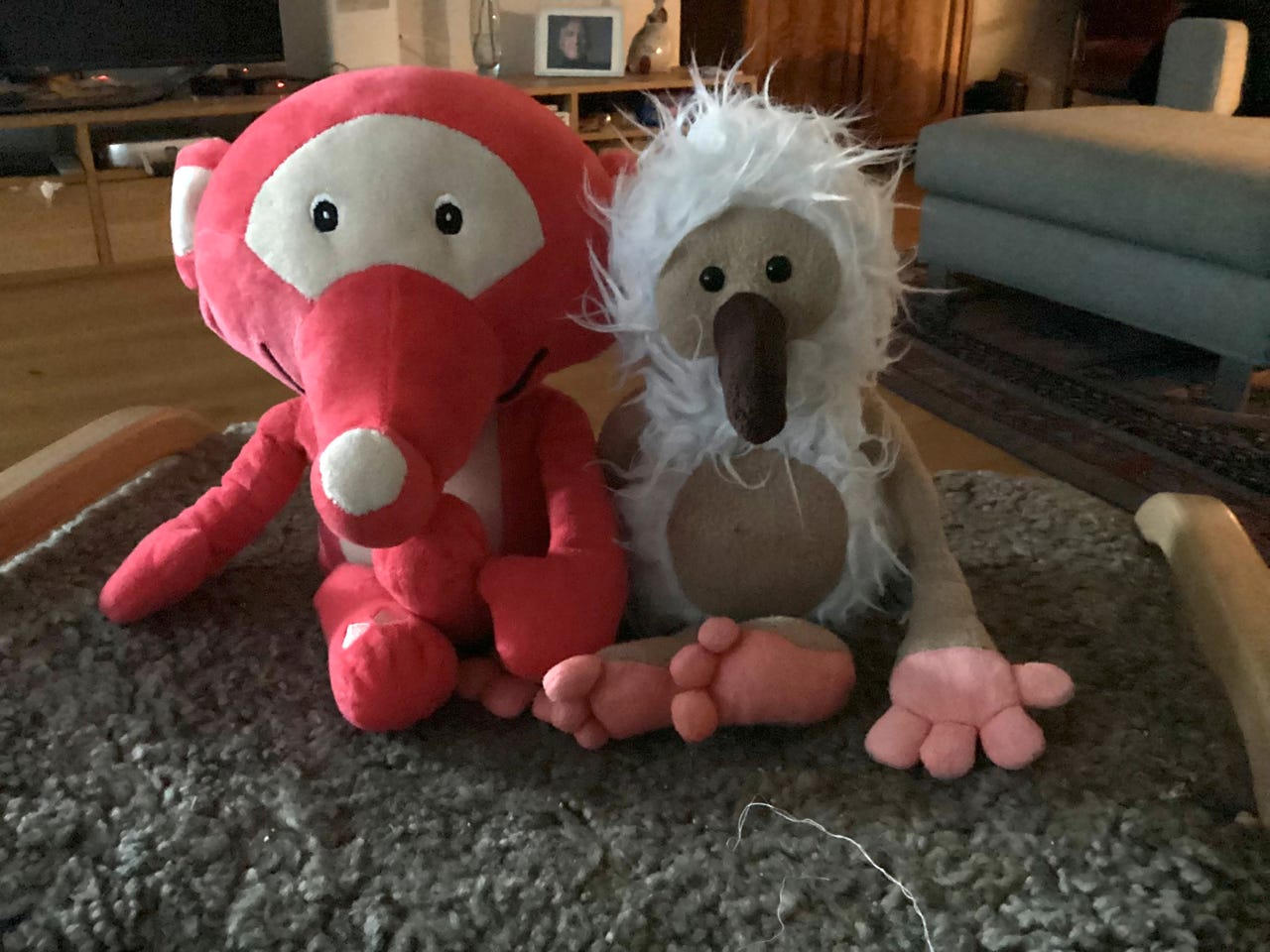 Fantorangen og Pivi | FINN-torget