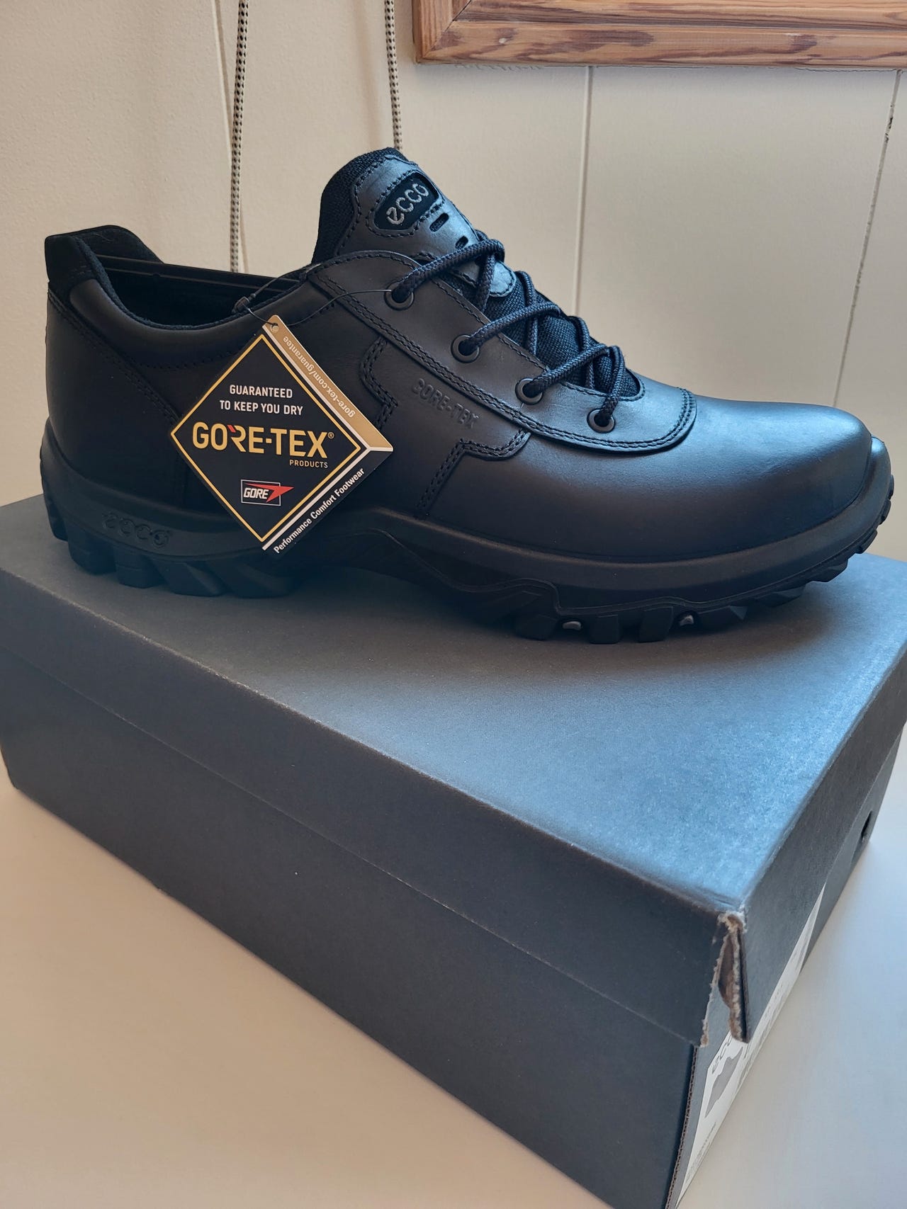 ECCO Professional Low Gore Tex sko | FINN-torget