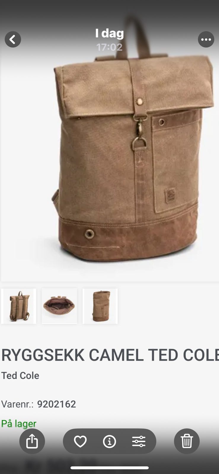 Ryggsekk Camel Ted Cole | FINN-torget