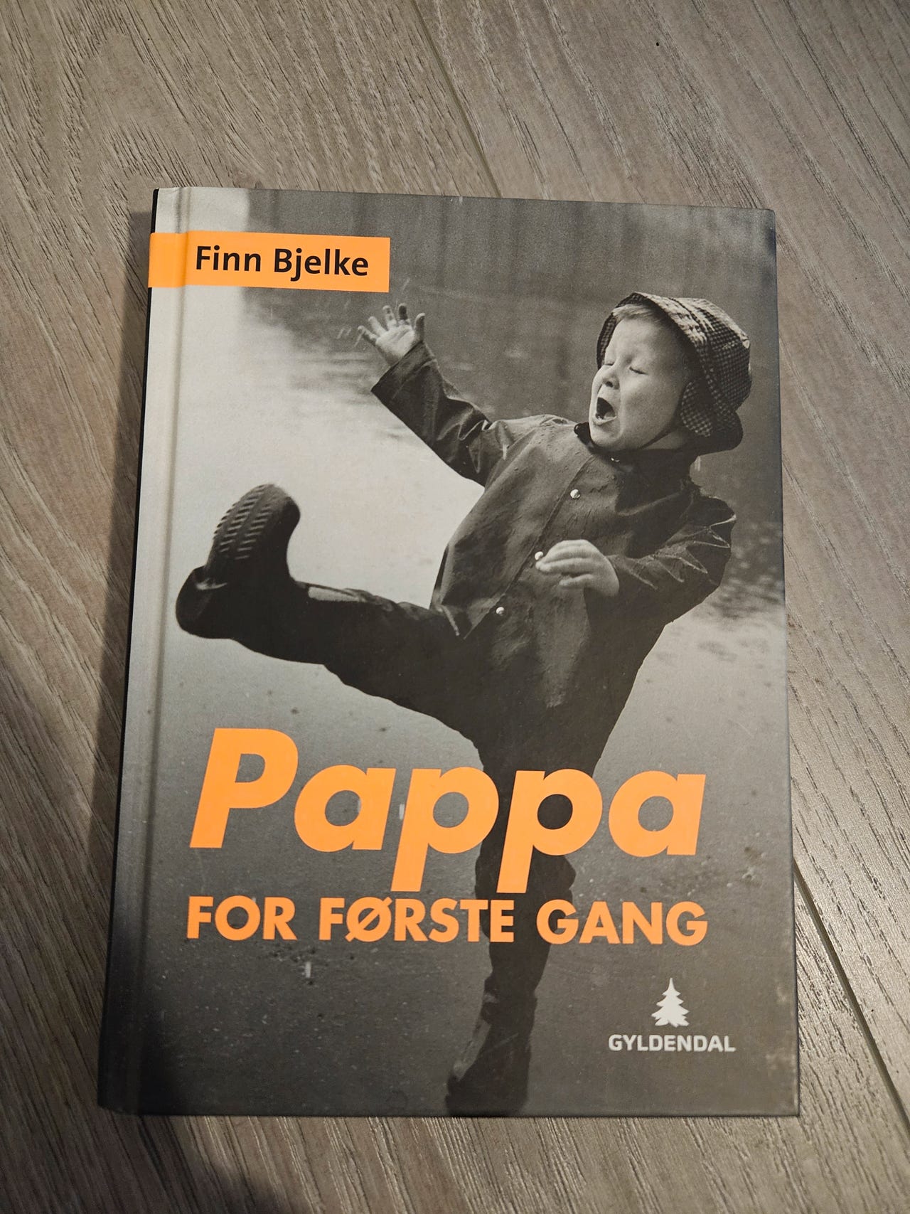 Bok - Pappa for første gang | FINN-torget