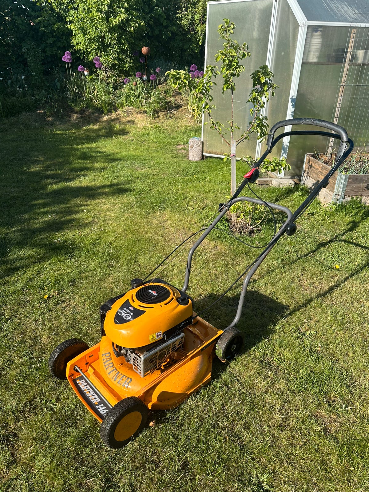 Partner gressklipper | FINN-torget