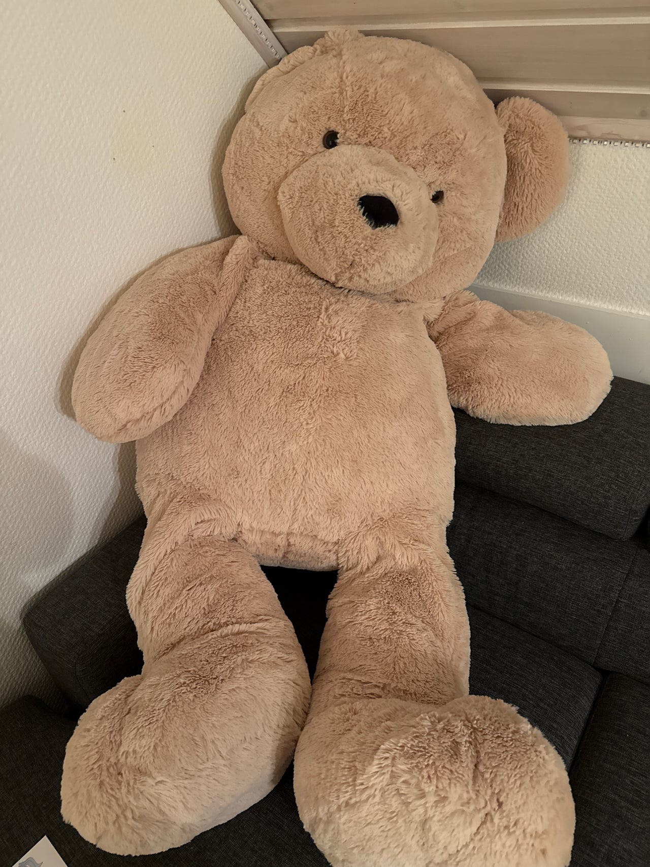 Stor bamse 130. X 70 cm | FINN-torget