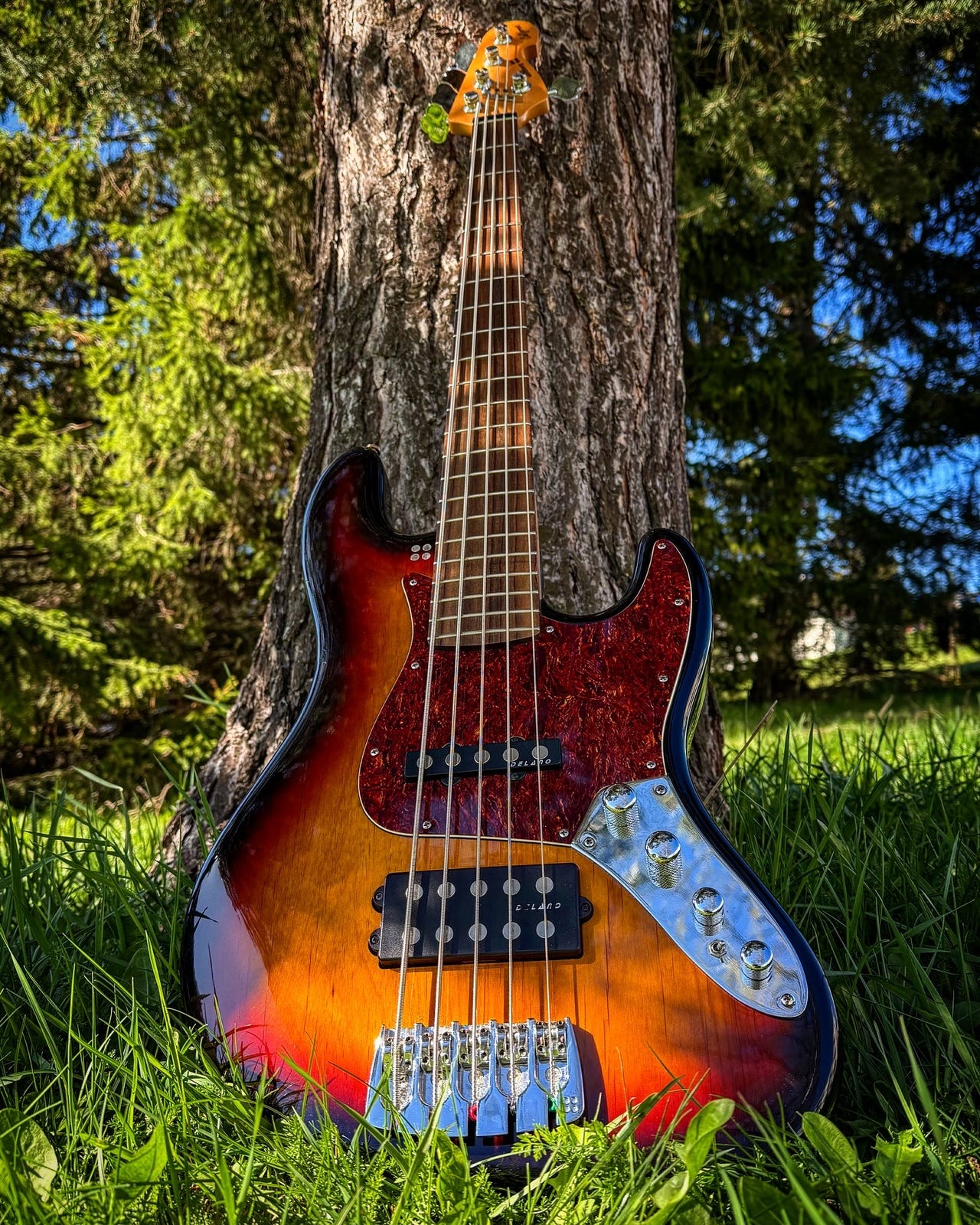 Sandberg California TM5 | FINN-torget
