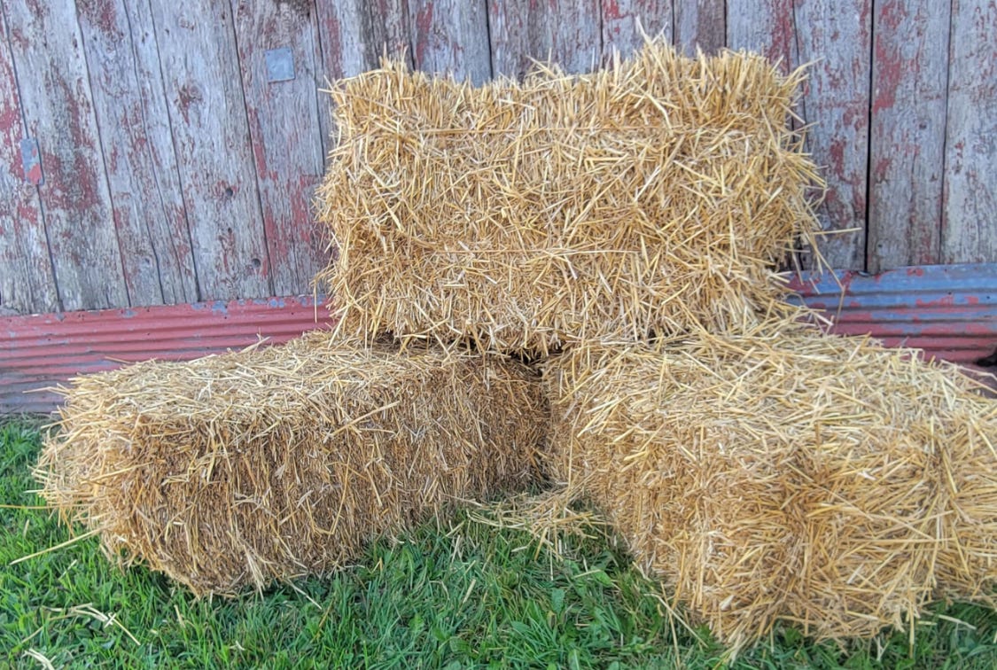 Halm i små firkantballer ønskes | FINN-torget