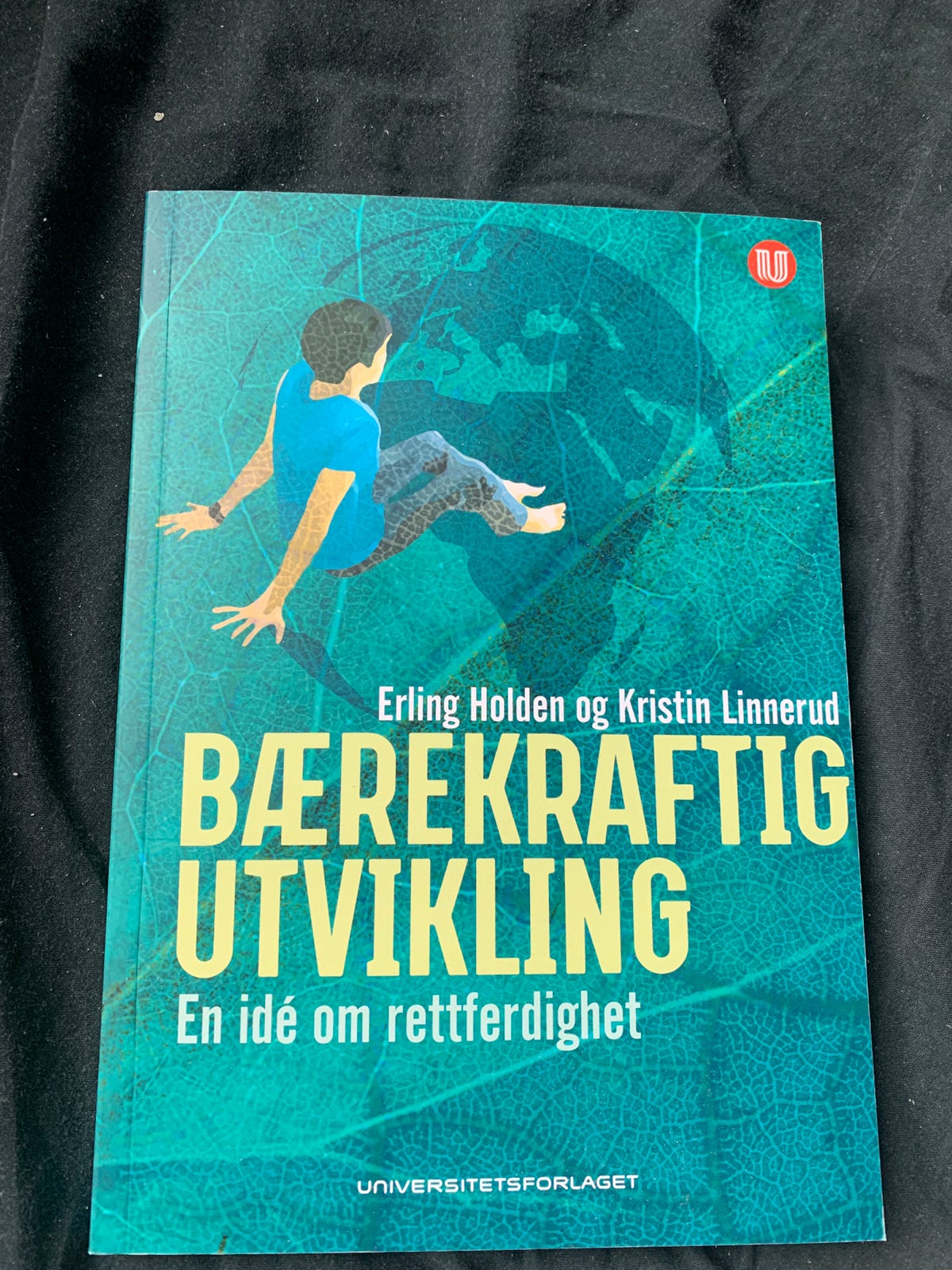 Holden & Linnerud: Bærekraftig utvikling | FINN-torget