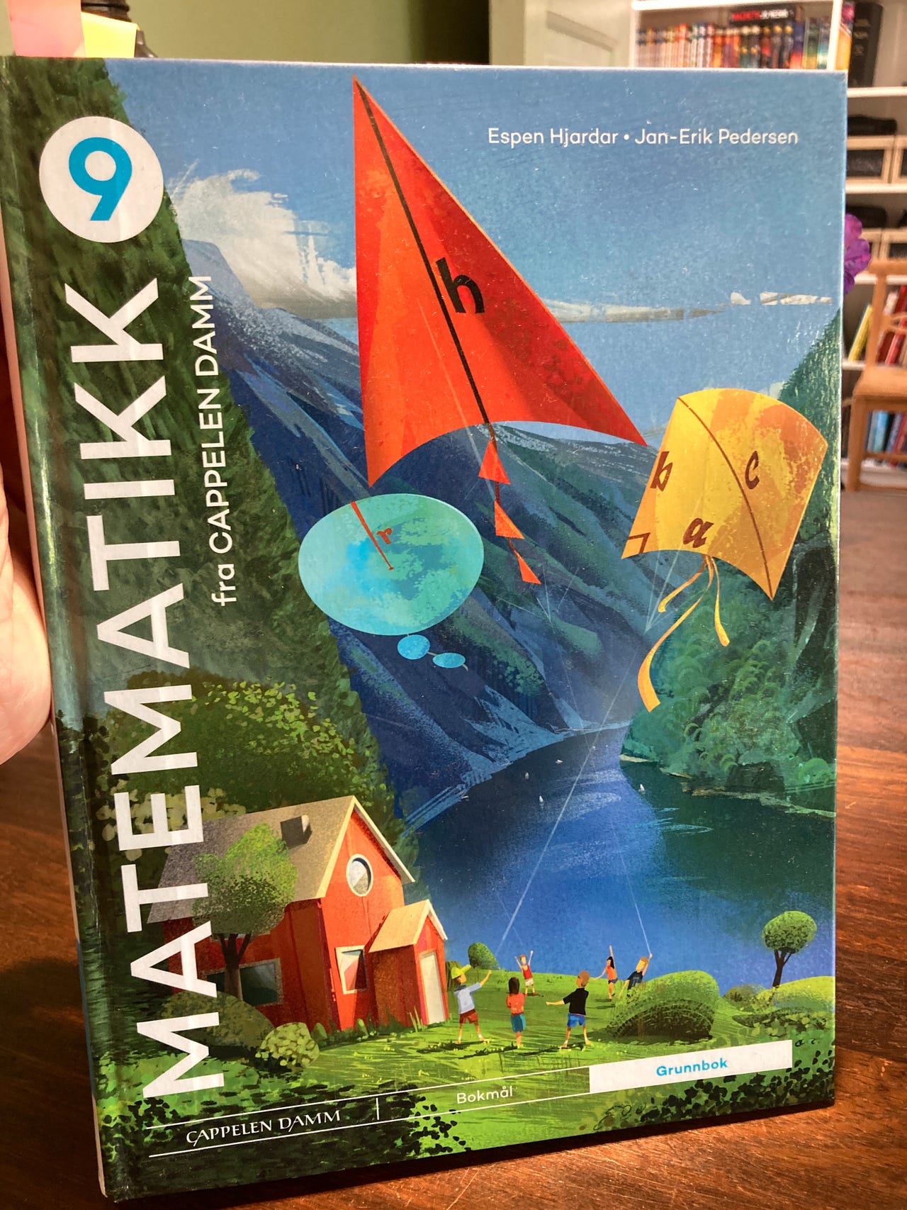 Cappelen Damm Matematikk 9 Lærebok | FINN-torget