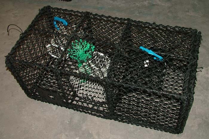 REKTANGULÆRE HUMMERTEINER / KRABBETEINER TYPE SKOTTETEINER LETT UTGAVE TIL SALGS | FINN-torget