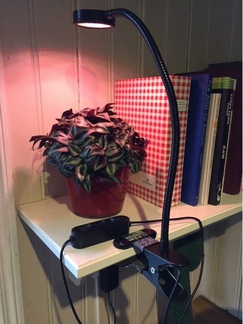 20 watt multi plantelyslampe med klipsfeste! | FINN-torget
