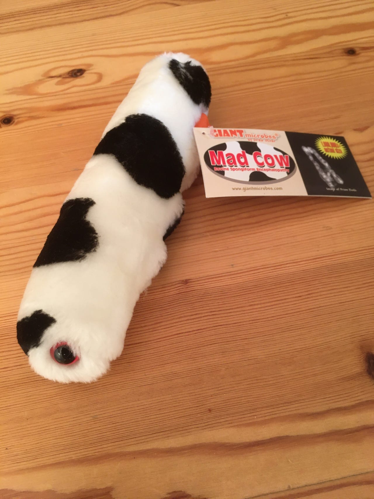 Mad cow (Giant microbes) kosedyr selges | FINN torget