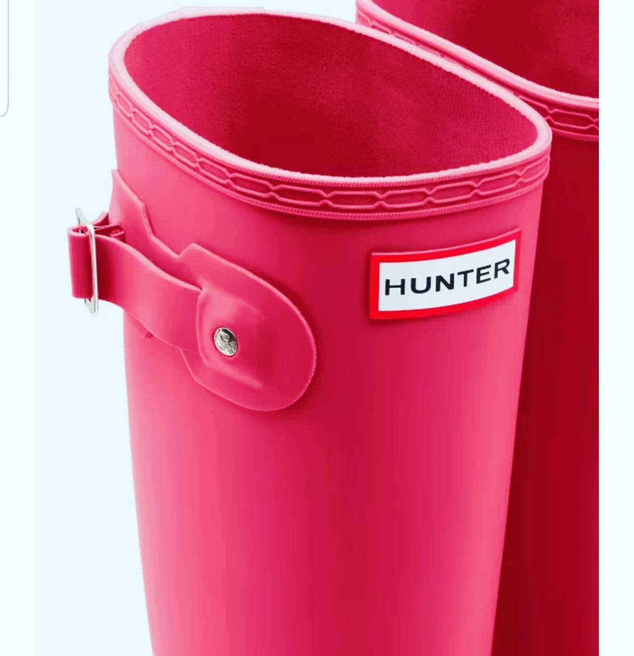 Ønsker rosa hunter | FINN-torget