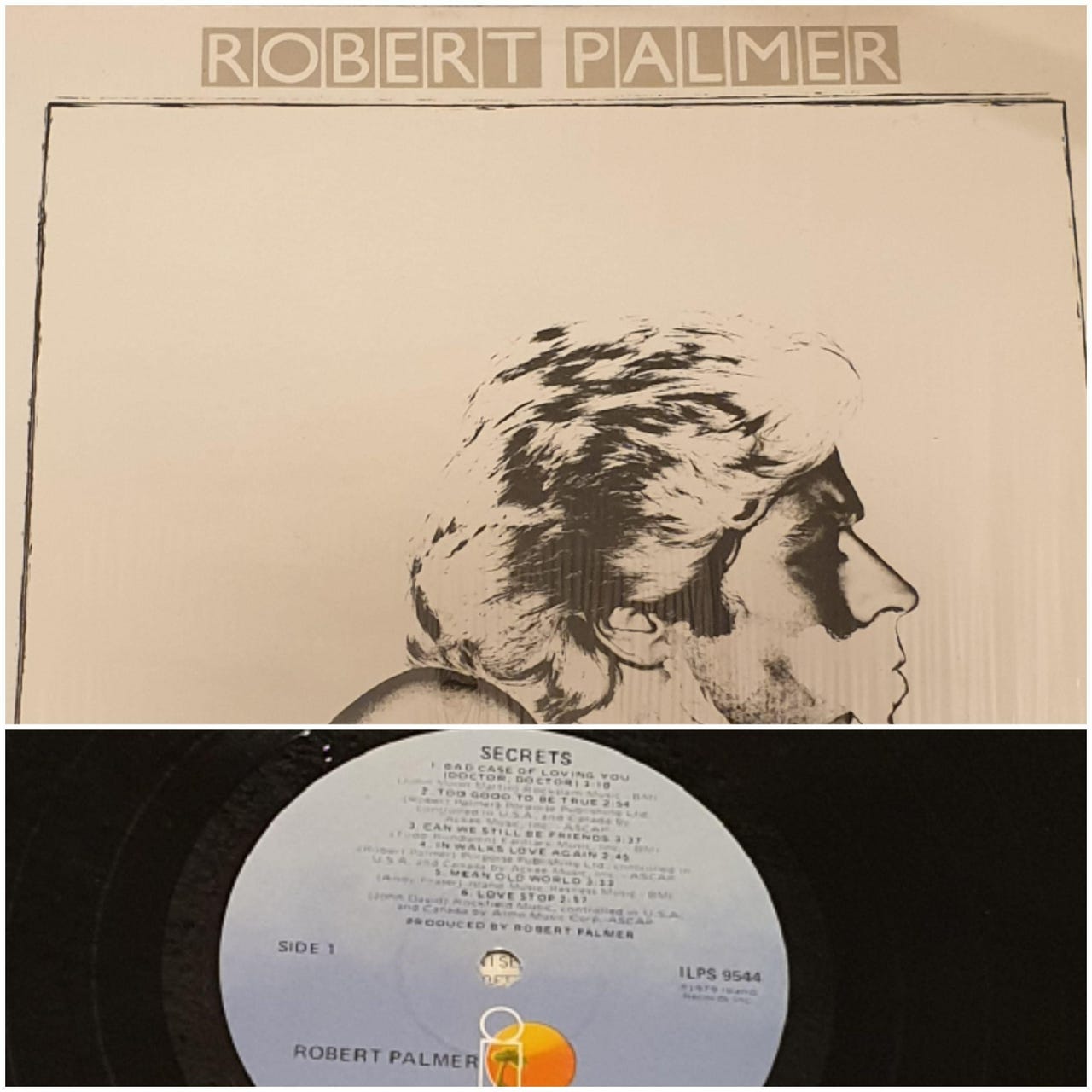 robert palmer secrets