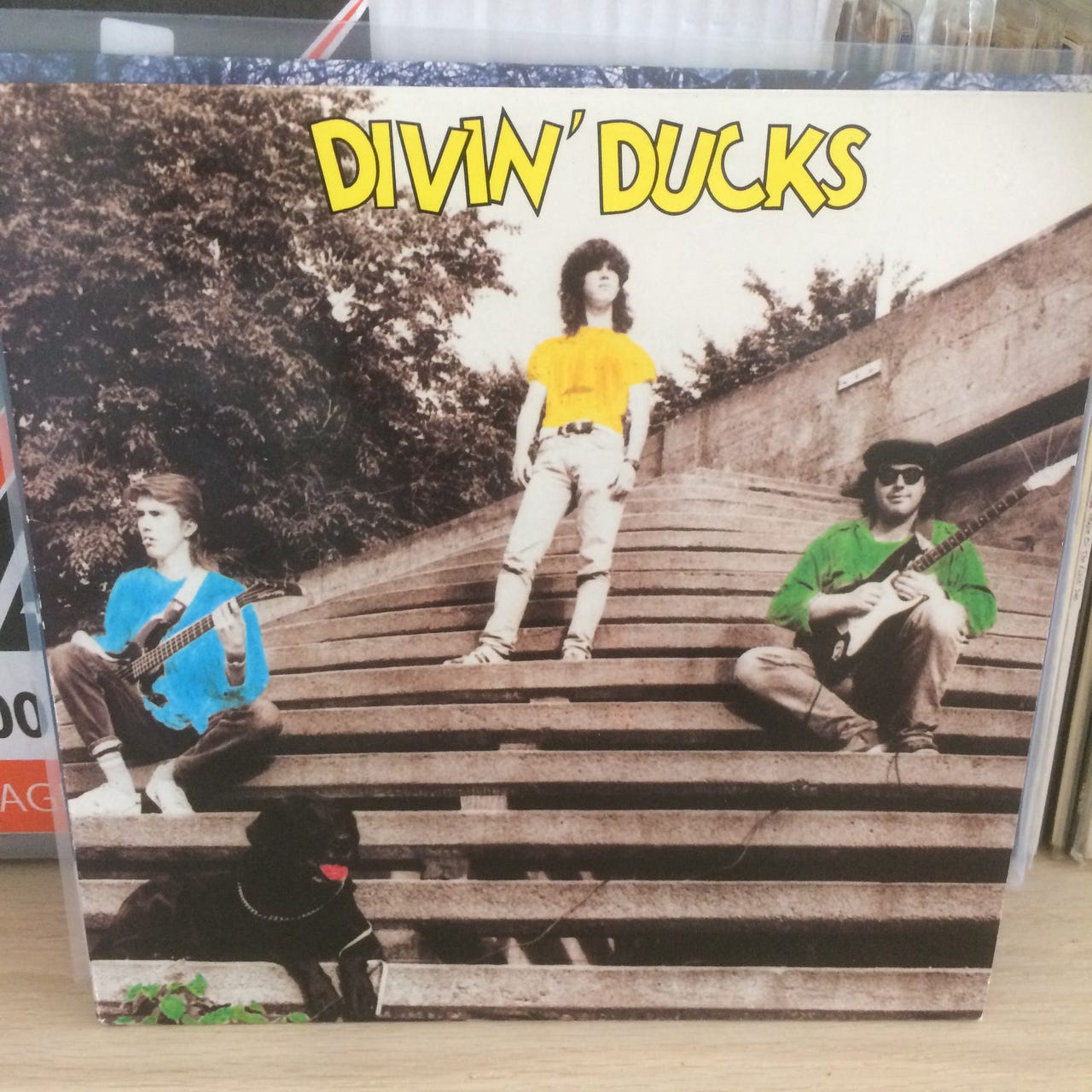 Divin Ducks - Lp - debut Lp 1988 - 100% prakt eksemplar | FINN-torget