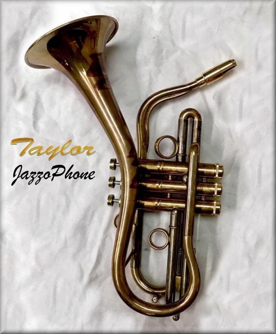 Taylor Jazzophone | FINN-torget