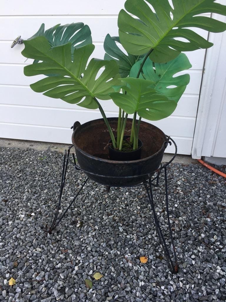 Stor jern gryte | FINN-torget