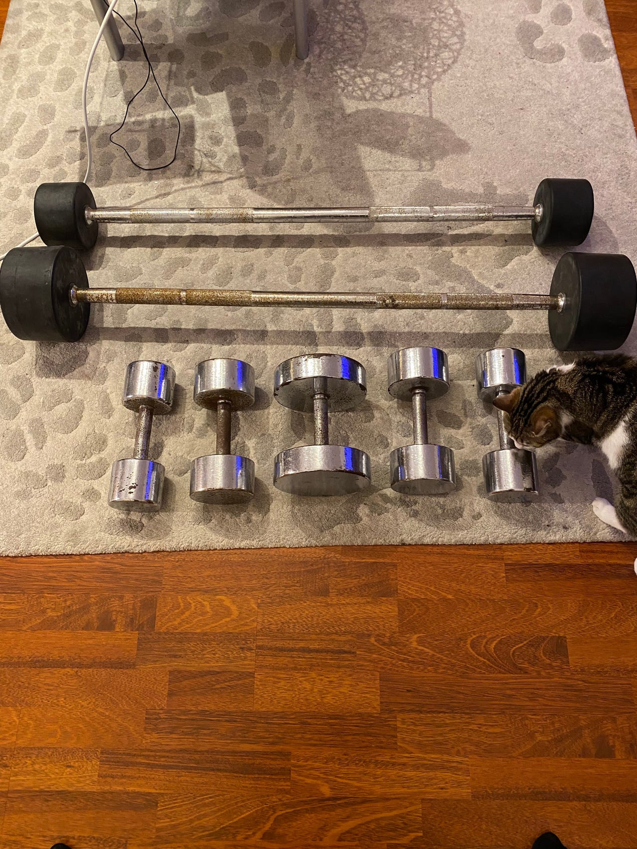 Stang og Dumbbells | FINN-torget