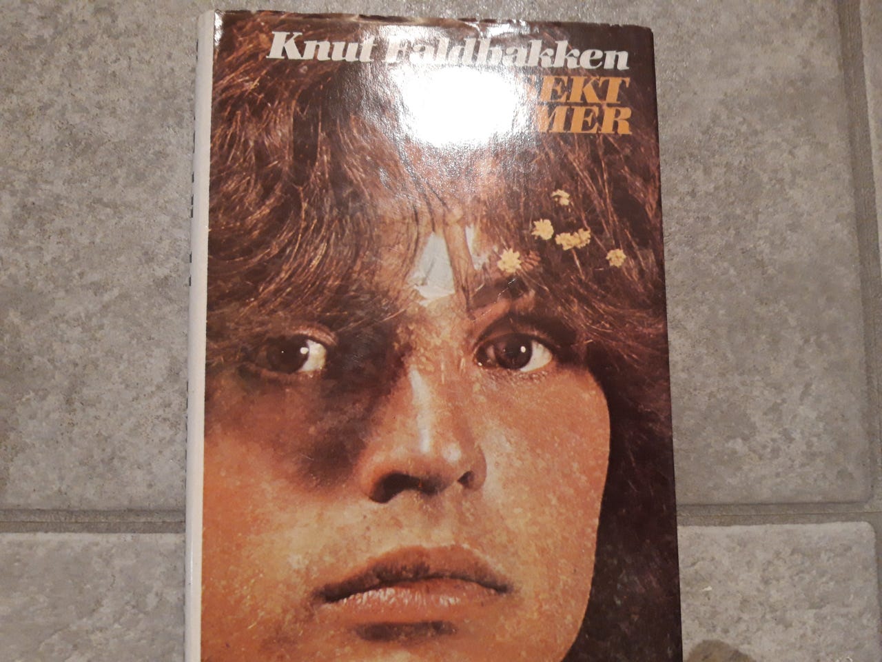 Knut Faldbakken - Insekt Sommer | FINN-torget