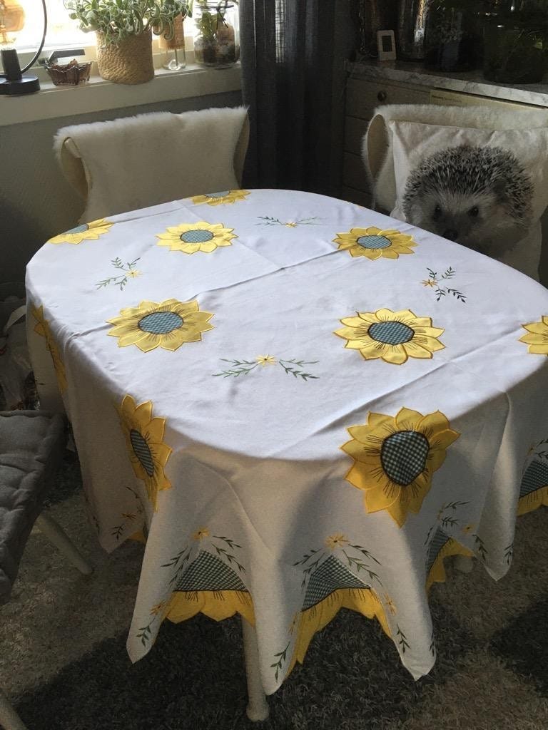 Rund stor duk | FINN-torget