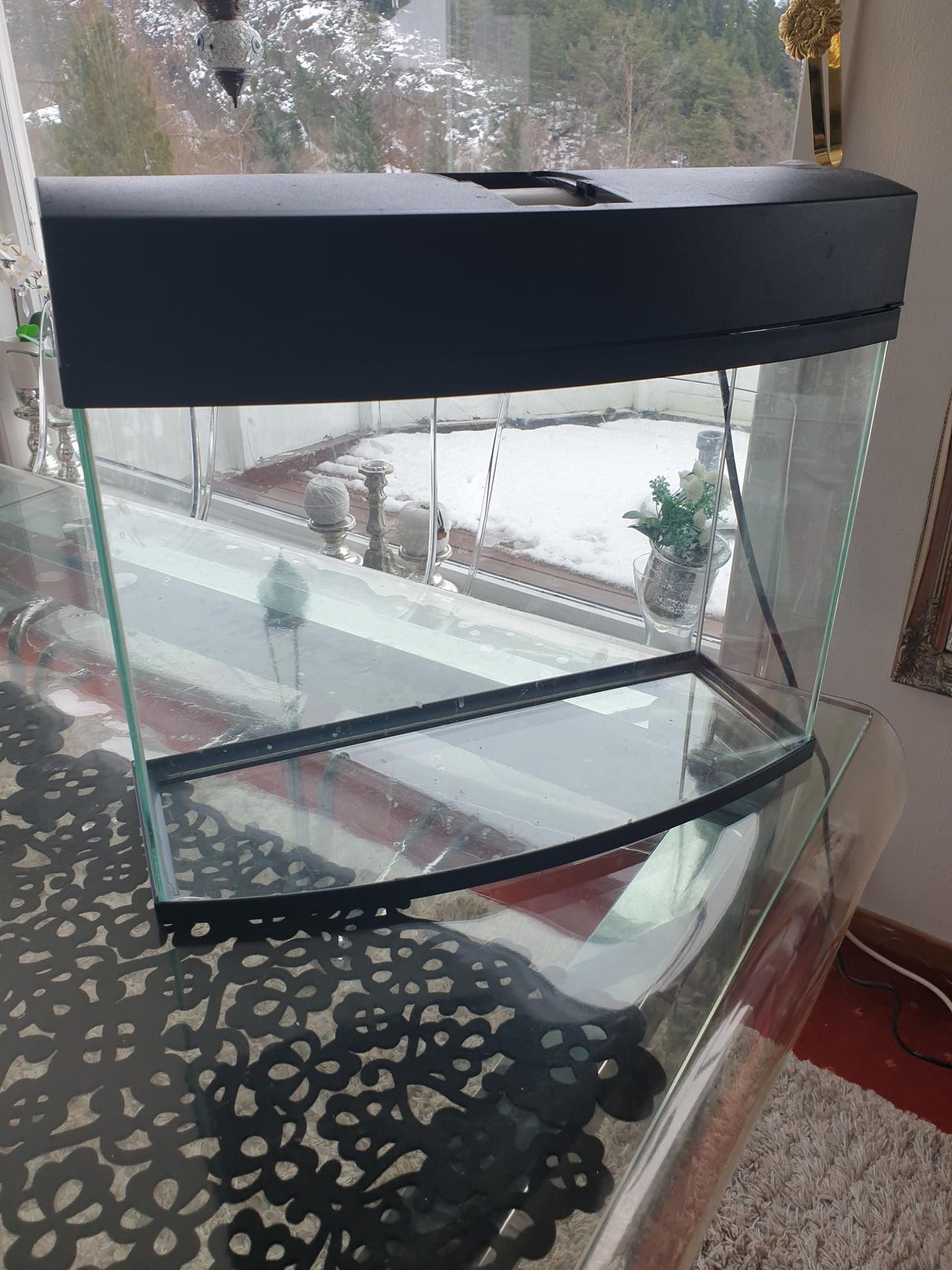 Lite akvarie tror 25 Liter | FINN-torget
