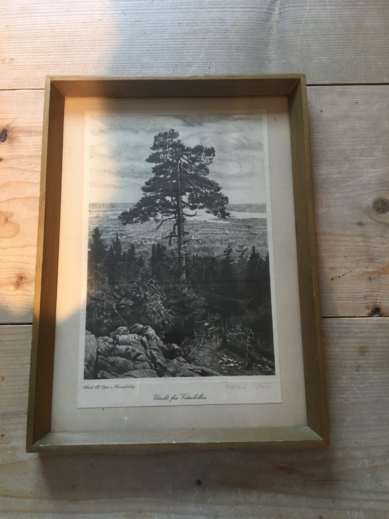 "Utsikt fra Vettakollen" av Halvard Storm - "Vettakolltoppen" | FINN-torget