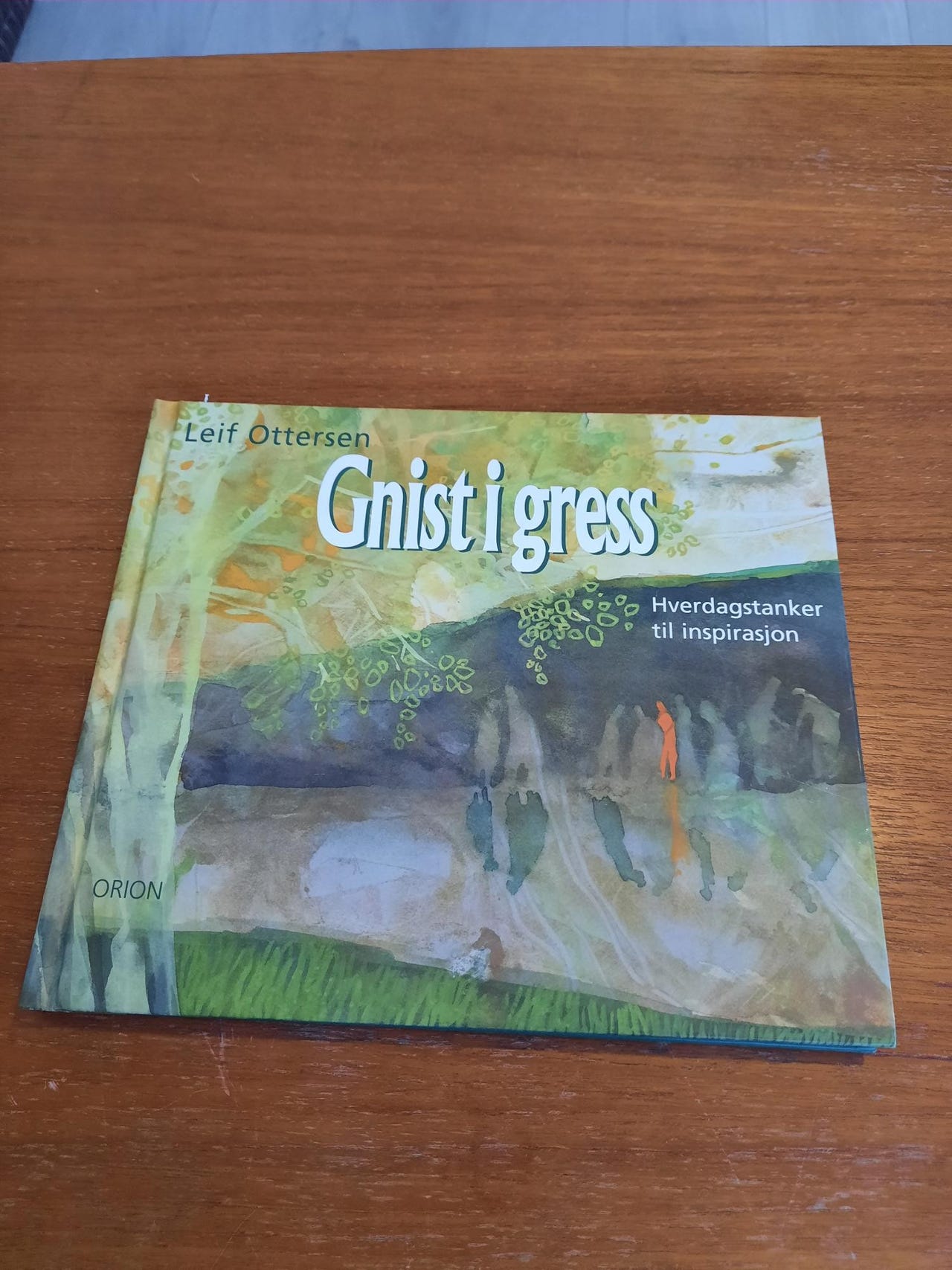 Gnist i gress - Leif Ottersen | FINN-torget