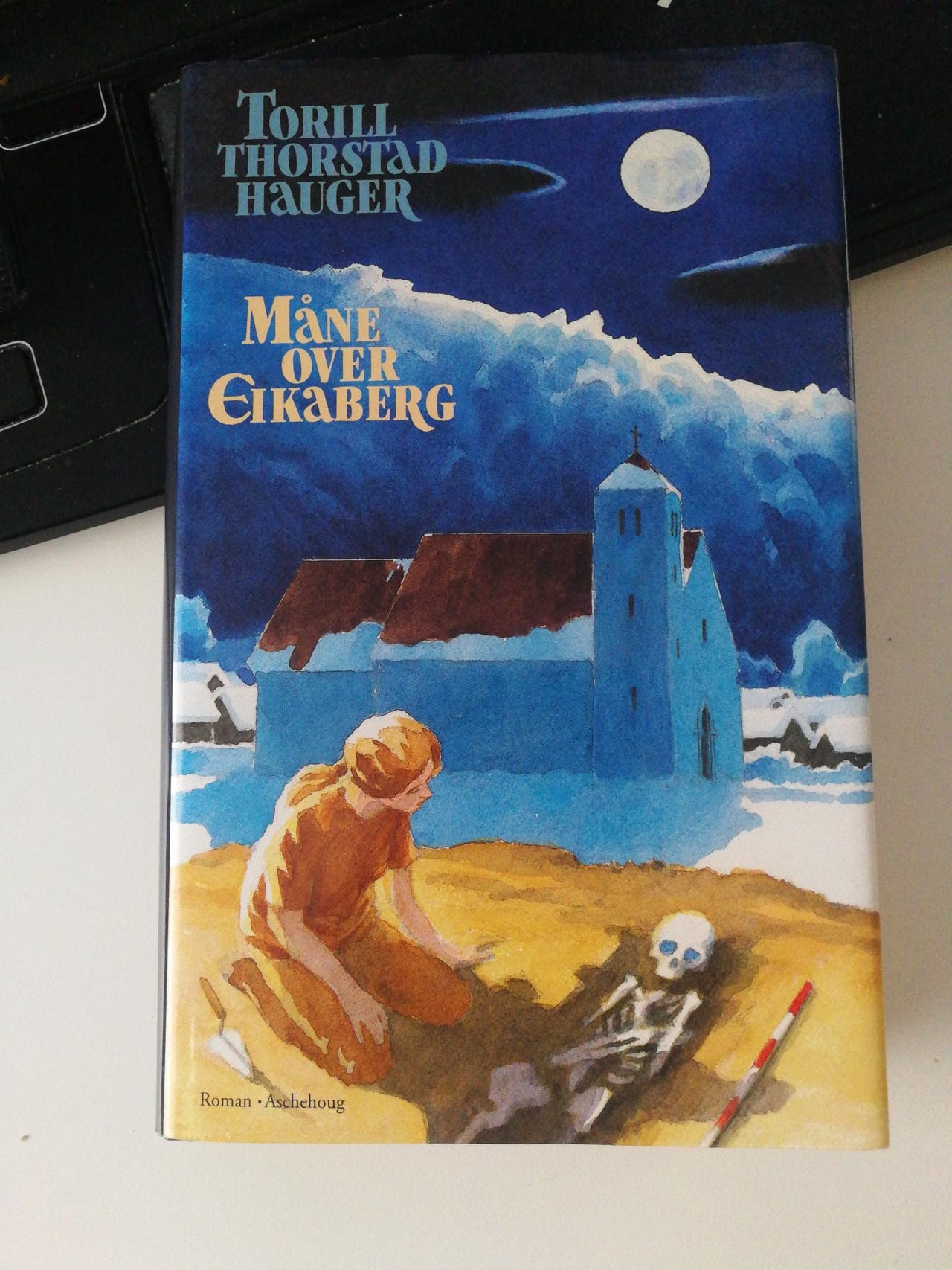 Torill Thorstad Hauger: Måne over Eikaberg - Aschehoug 1998 | FINN-torget
