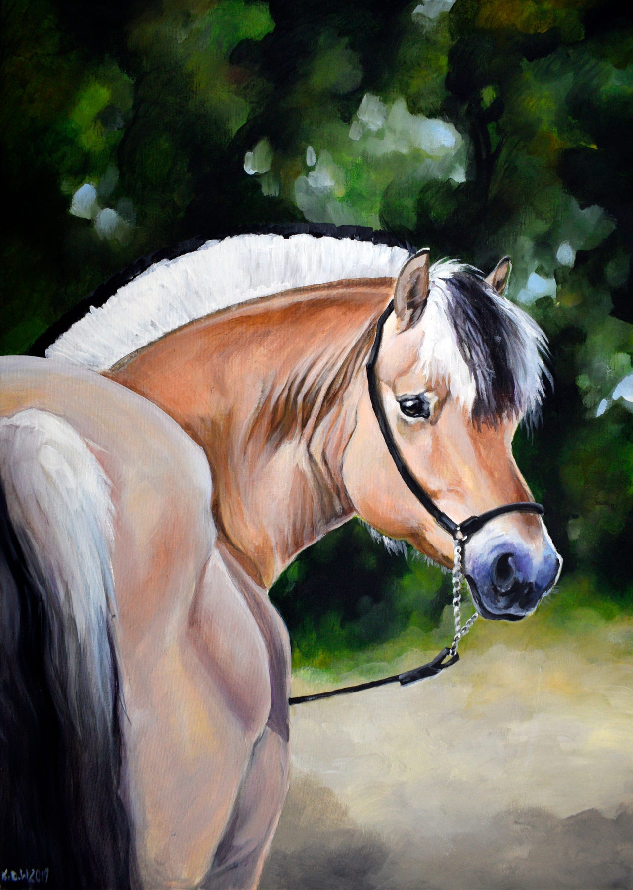 Fjordhest 70x50cm | FINN torget