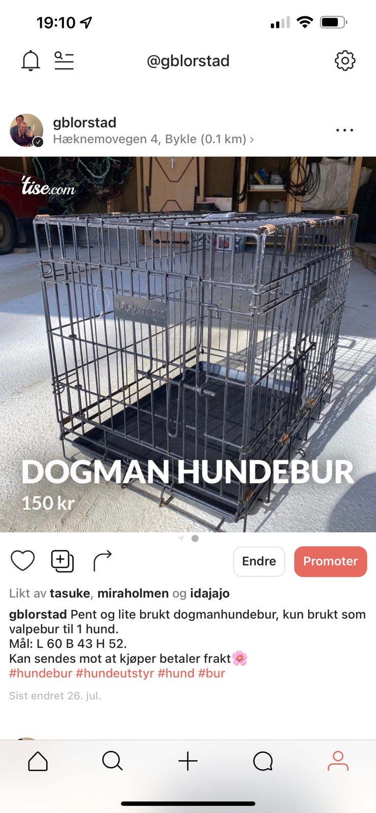 Hundebur | FINN torget