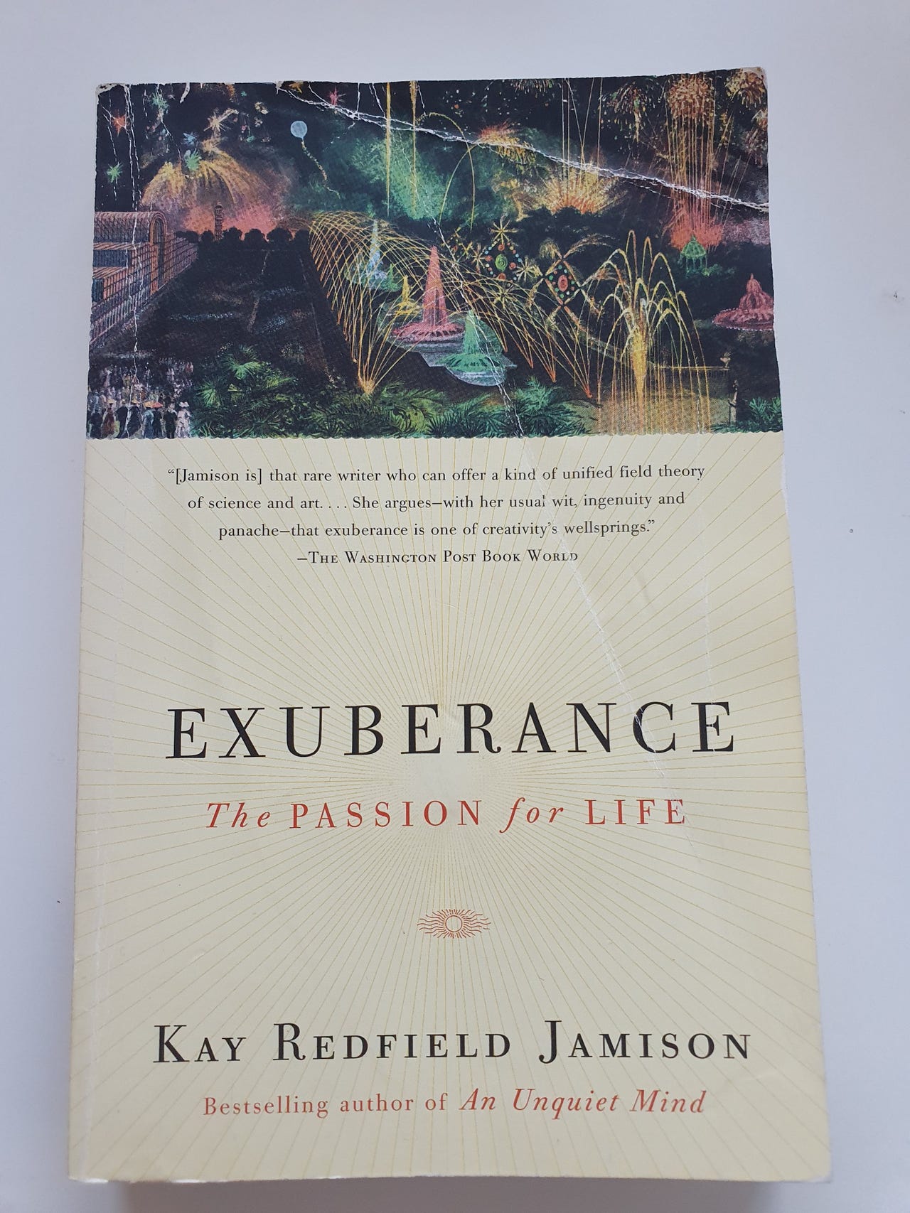 Exuberance. The passion for life. Kay Redfield Jamison | FINN torget