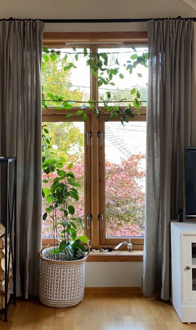 Ønsker å kjøpe IKEA Ingert grå gardin. | FINN-torget