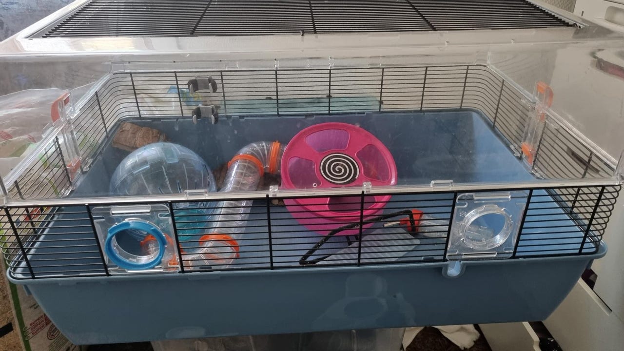 Hamster bur med utstyr og mat(reservert tom torsdag) | FINN-torget