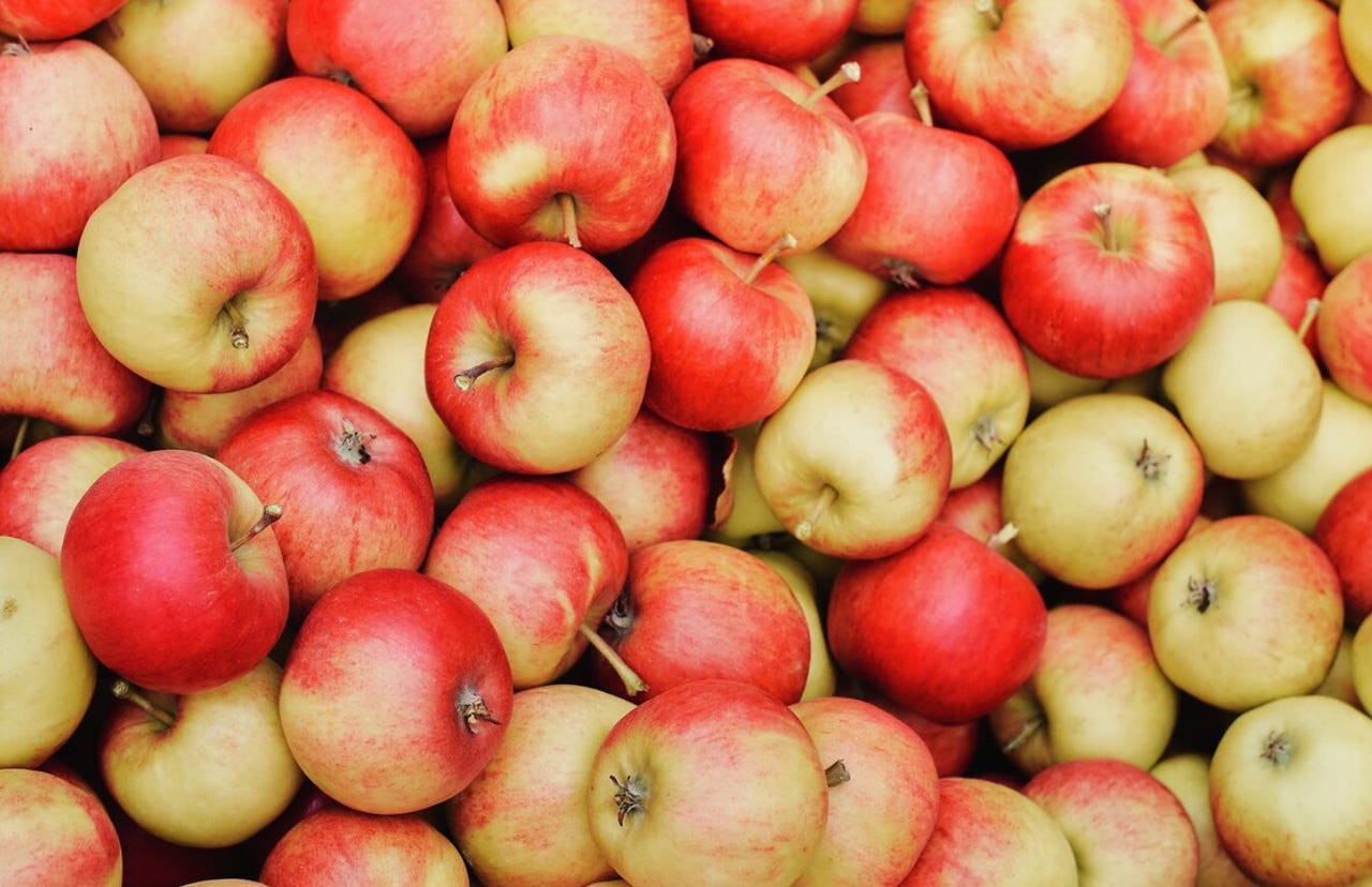 Epler ferdig plukket mye gode epler | FINN-torget
