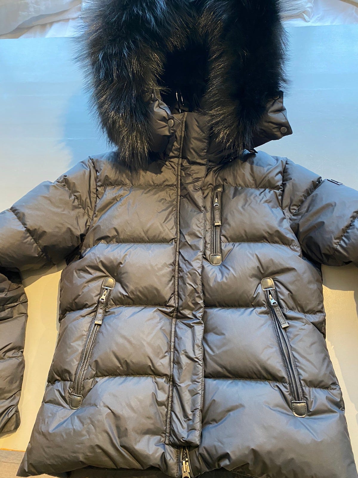 Nesten ubrukt Cedrico Stella Black med sort pels | FINN-torget