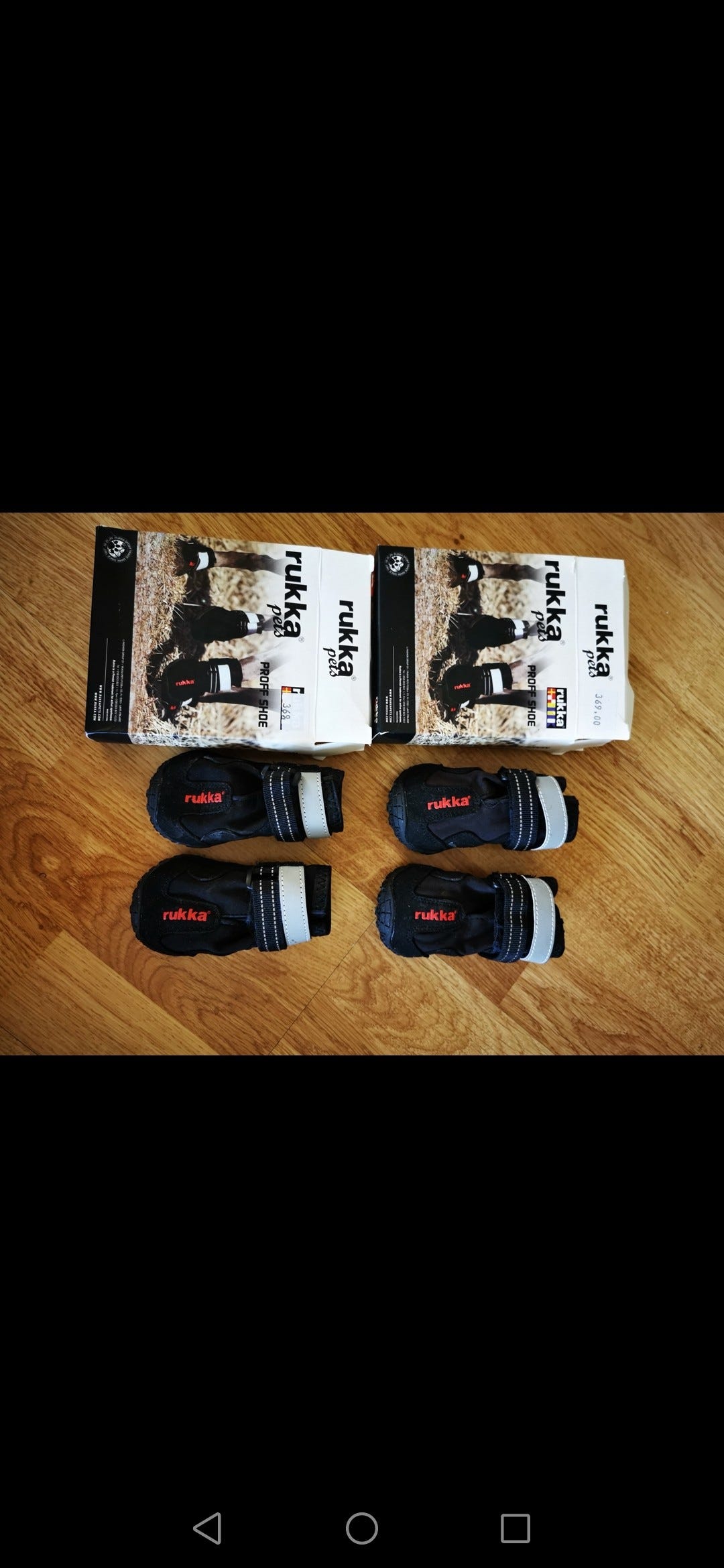 Sko til små hunder | FINN-torget