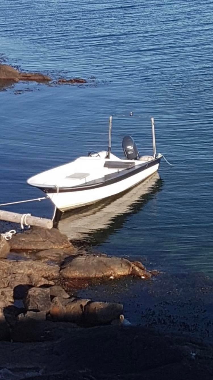 Til salgs: Wesling 2011 - 2011 | FINN.no