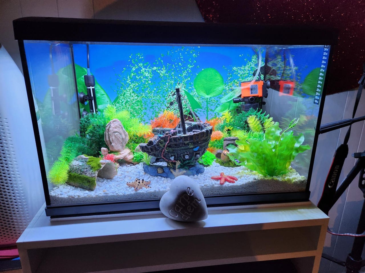 Akvarier alt utstyr inkludert 63L ubrukt | FINN-torget