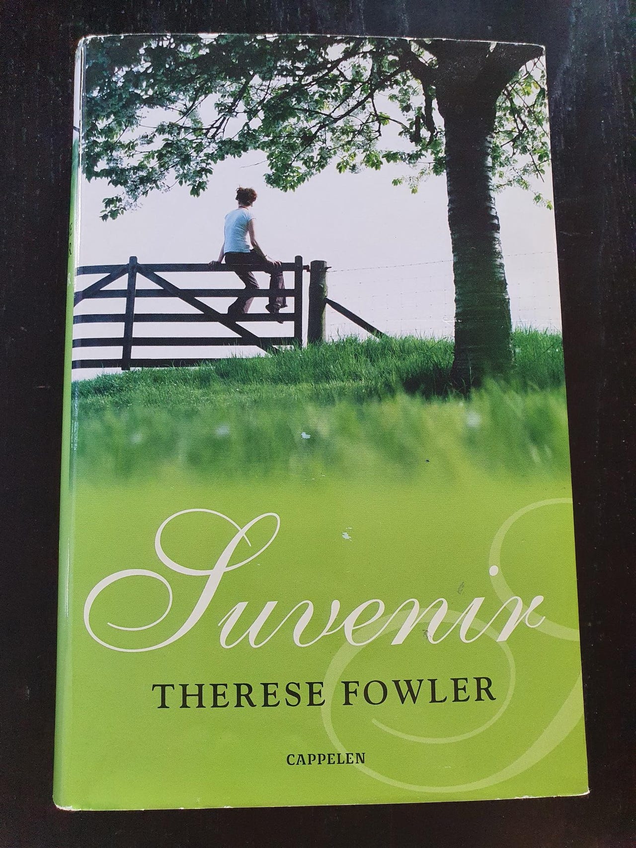 Suvenir - Therese Fowler | FINN-torget
