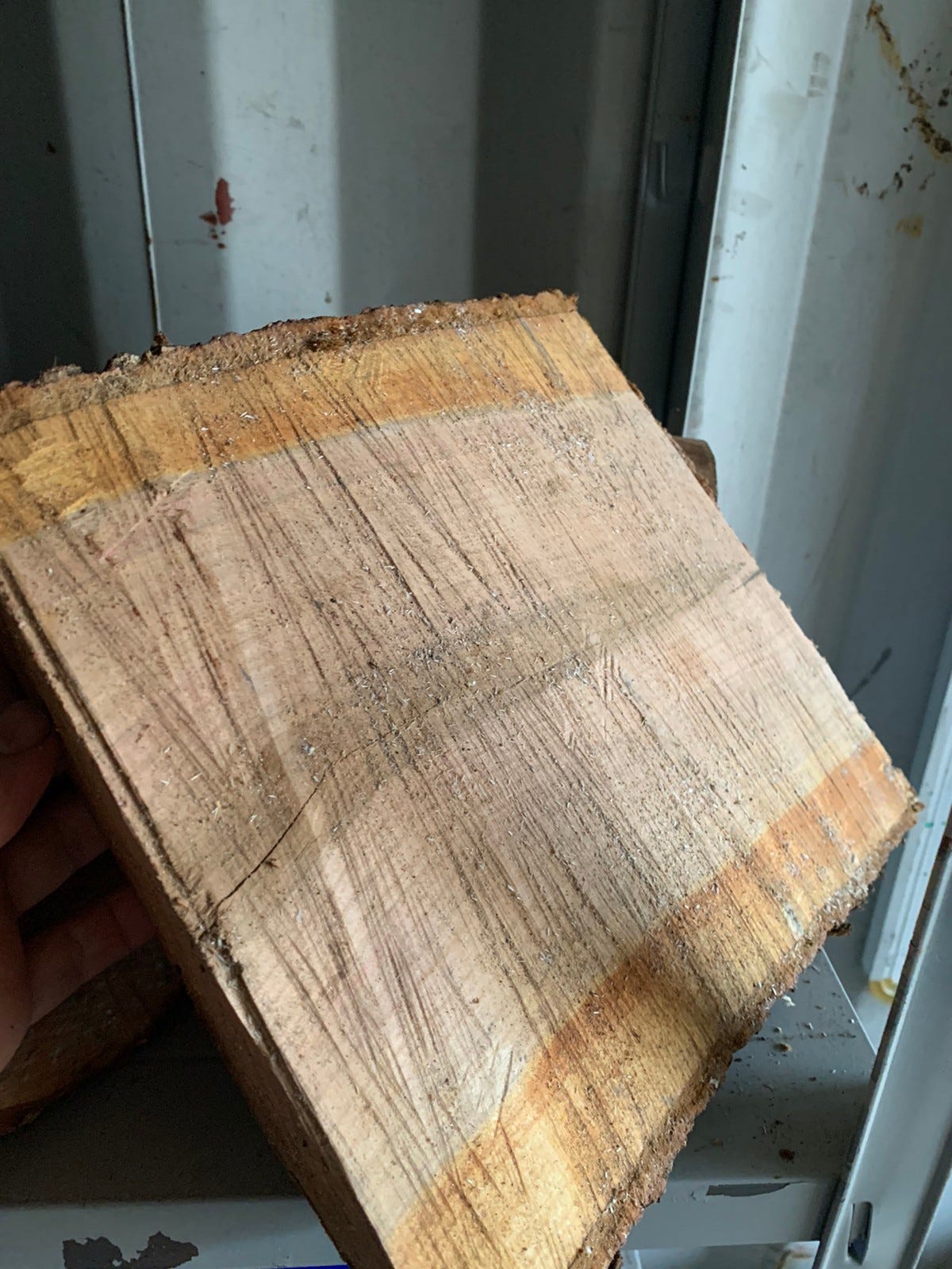 Treverk / Tremener / Eik / Ask / Alm / Sedertre / Kastanje | FINN-torget