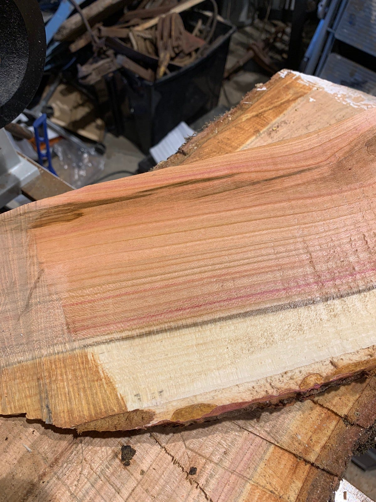 Treverk / Tremener / Eik / Ask / Alm / Sedertre / Kastanje | FINN-torget