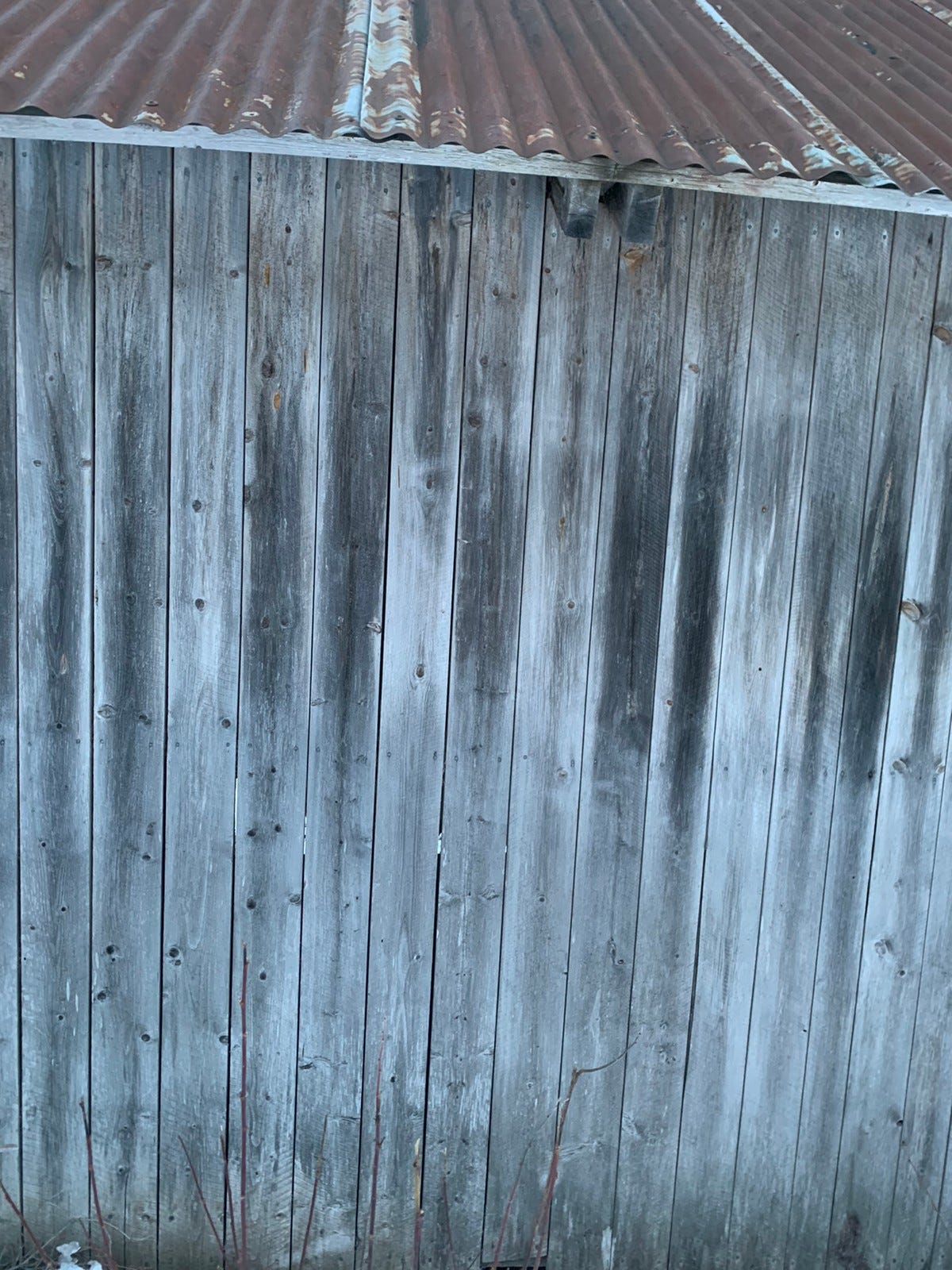 gammel panel | FINN torget