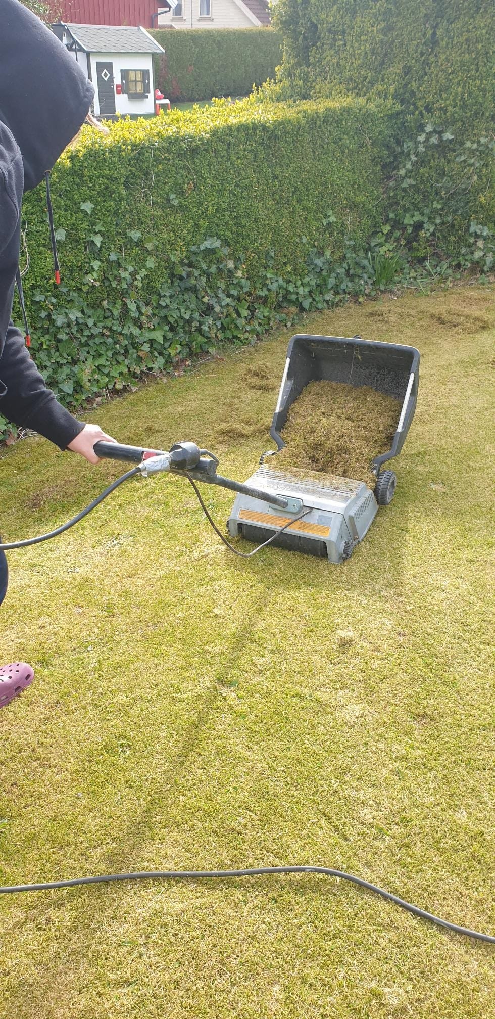 Mosefjerner | FINN torget