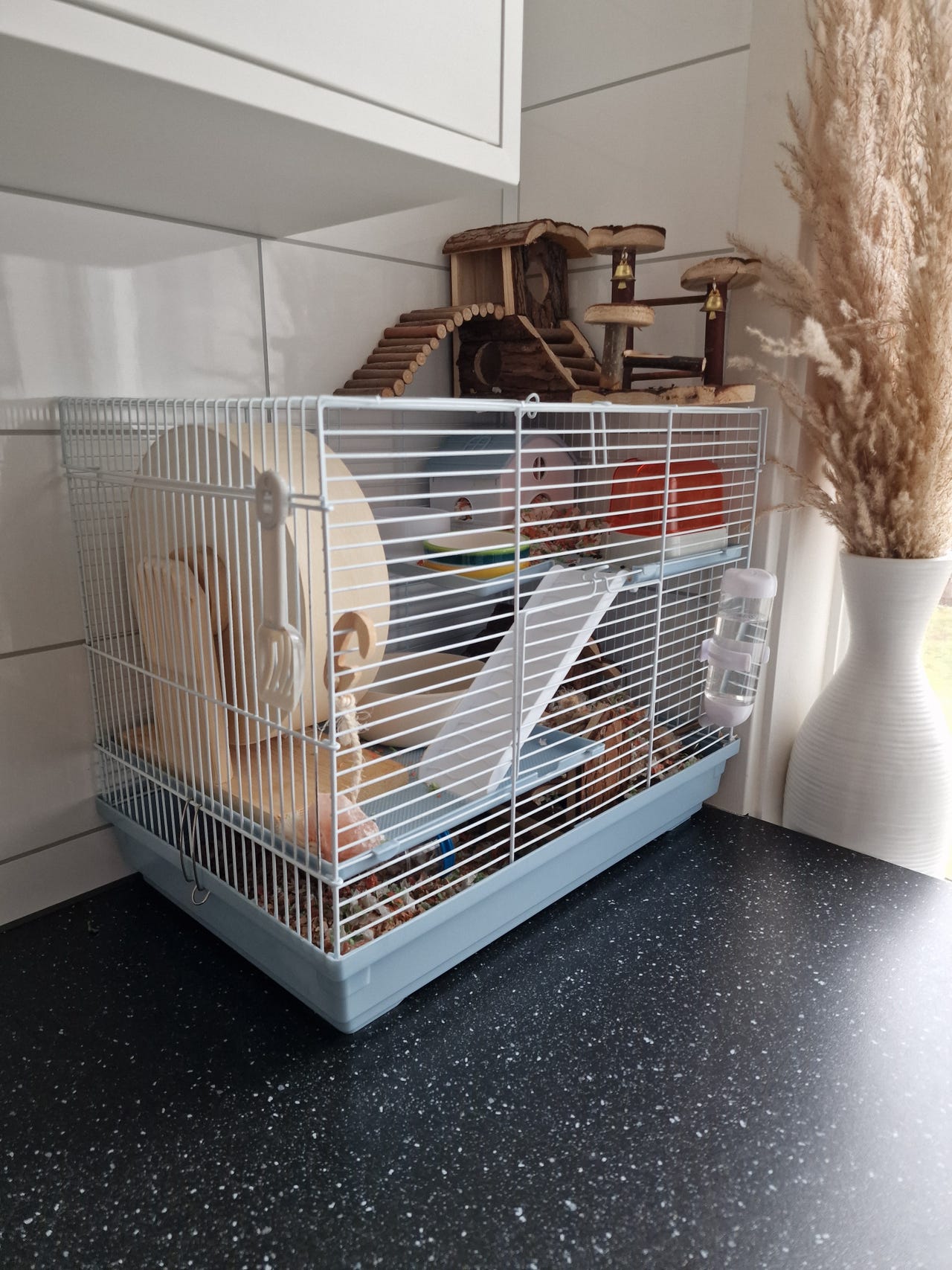 Hamster + hamsterbur | FINN-torget