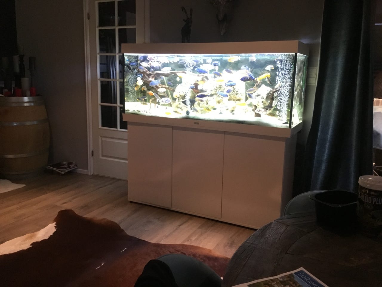 Juwel 450 liter akvarie selges med alt. | FINN-torget