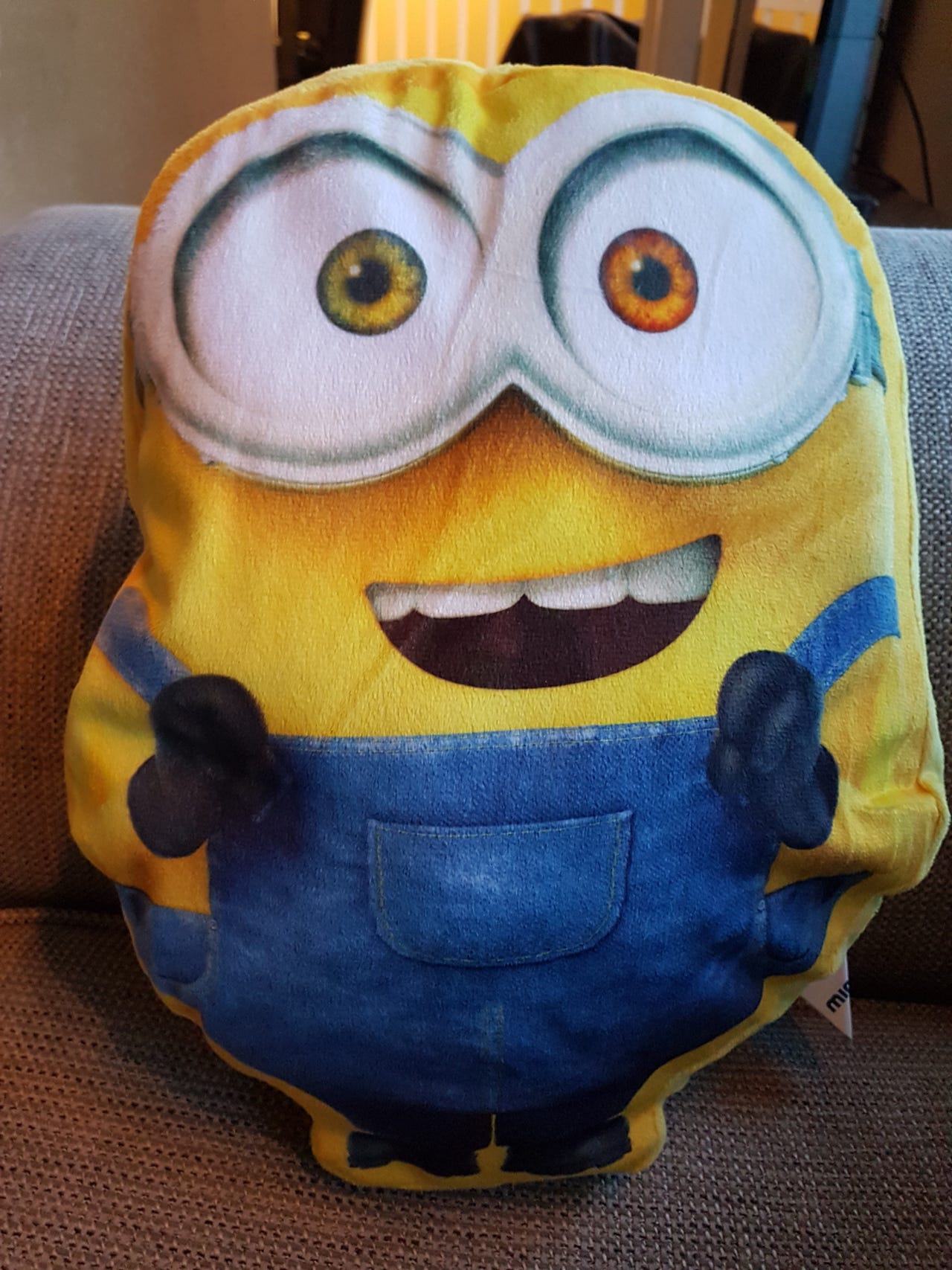Minions pute | FINN-torget