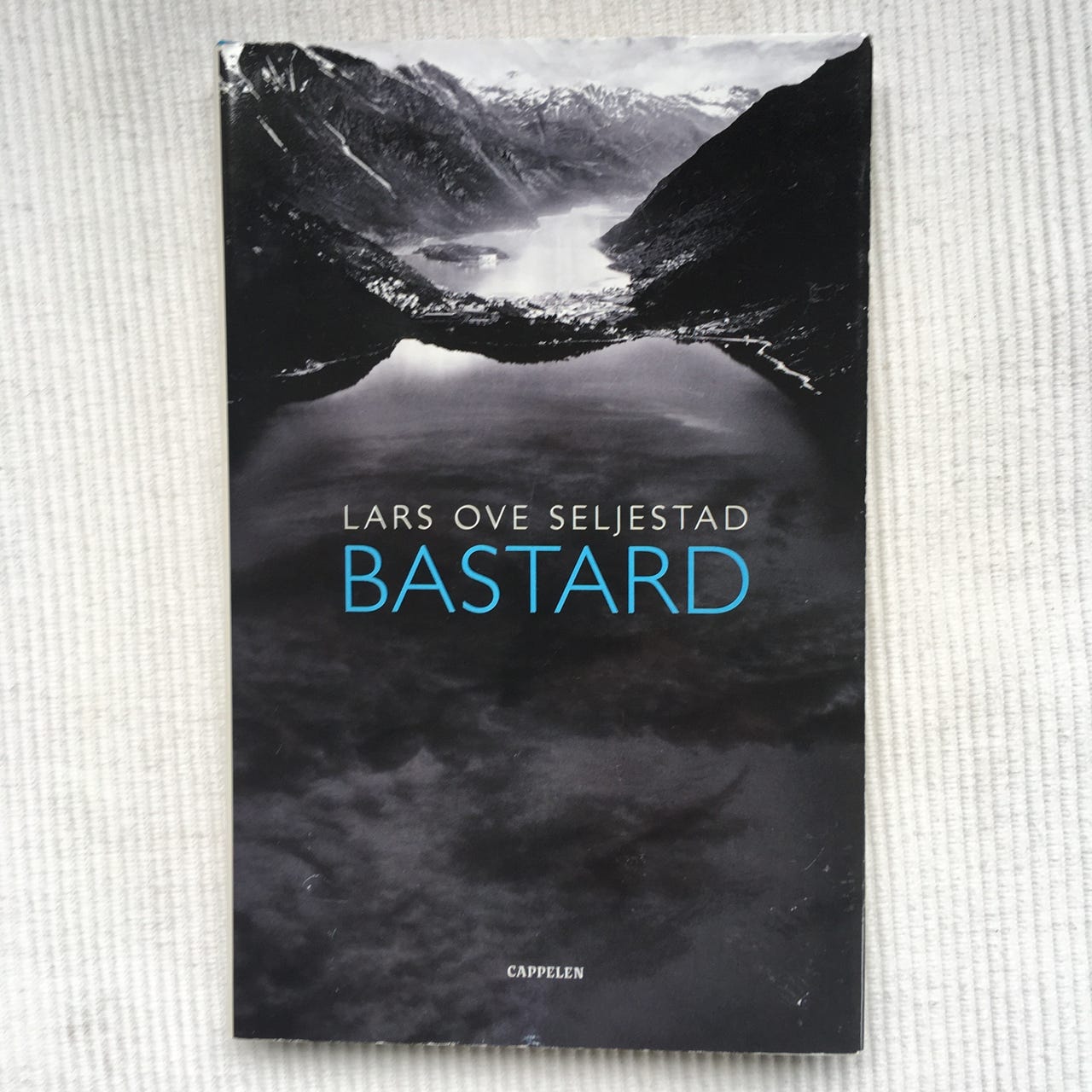 BokFrank: Lars Ove Seljestad; Bastard (2006) / Isberg (2012) | FINN-torget