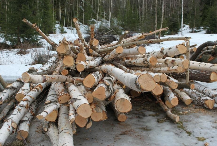 Ønsker gjerne hogge ved gratis | FINN-torget