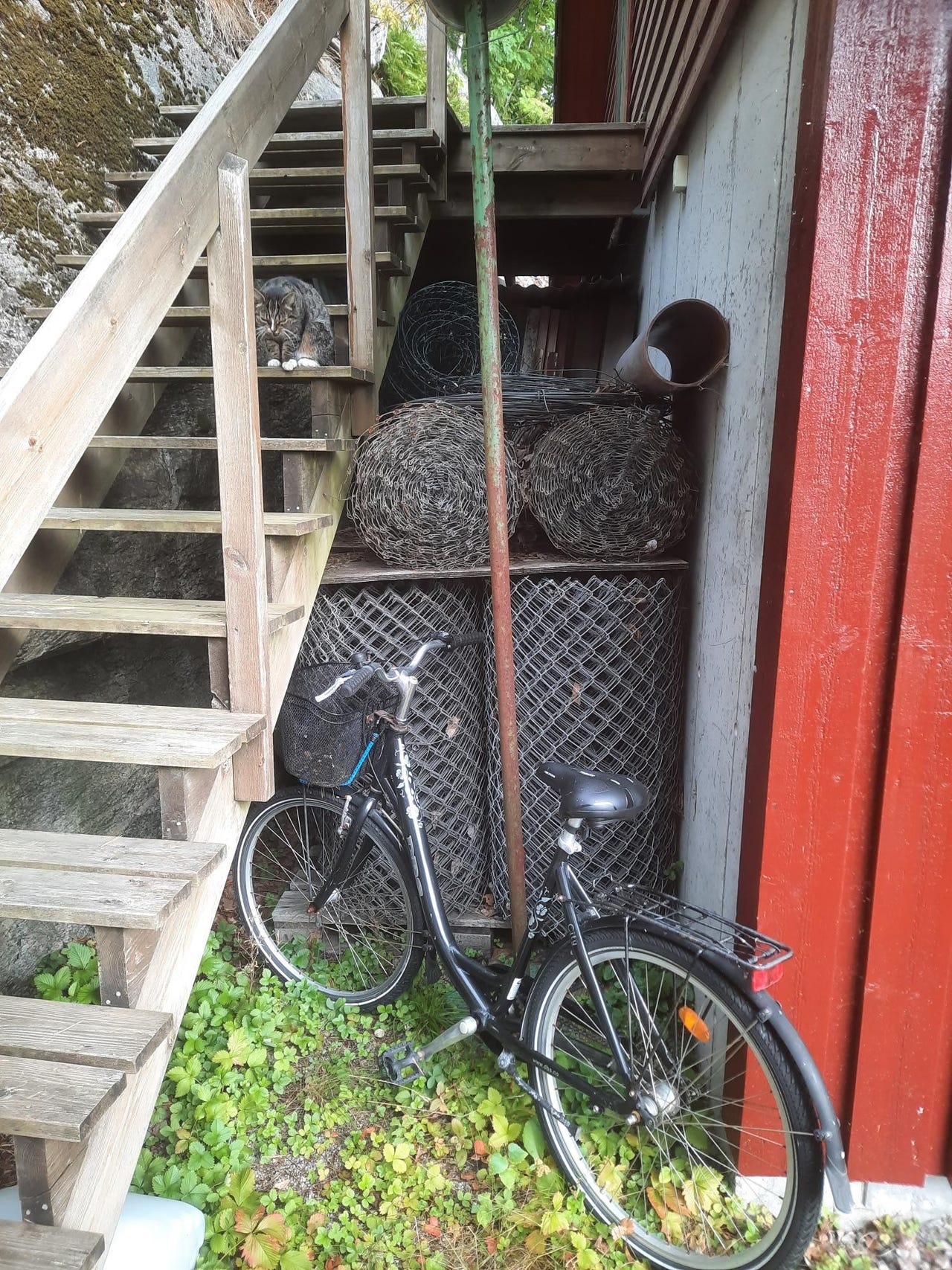 Gjerdenetting | FINN-torget