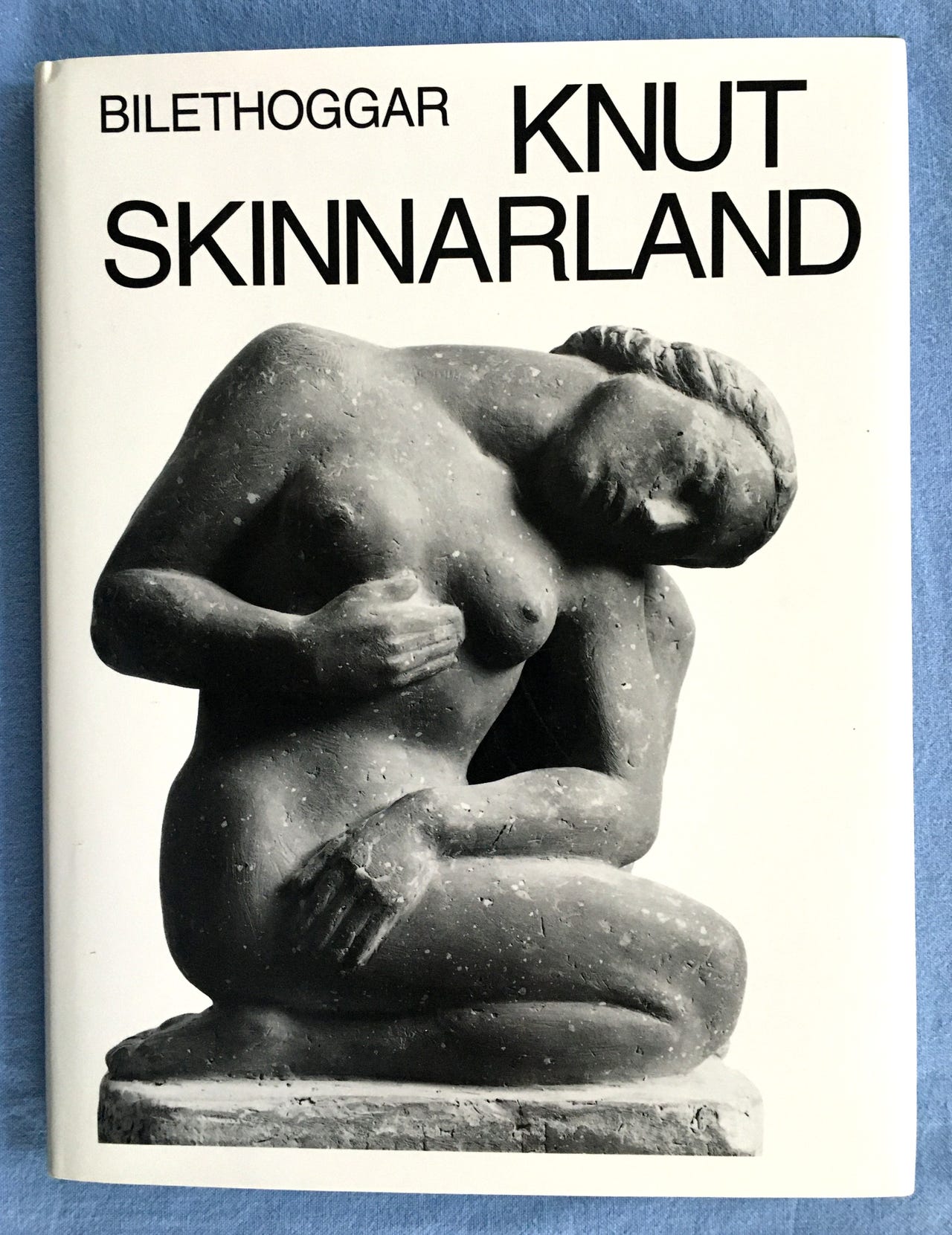 Bilethoggar KNUT SKINNARLAND | FINN-torget