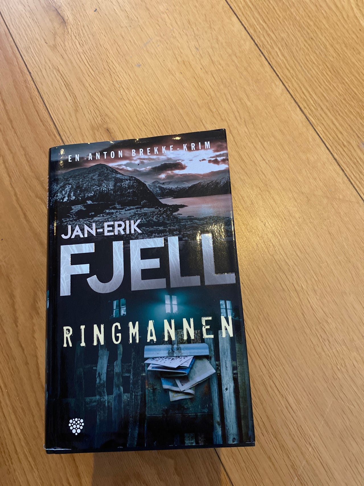 Ringmannen av Jan-Erik Fjell | FINN torget