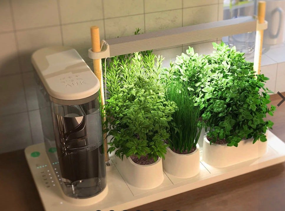 Auk, urte- og plantedyrker | FINN torget